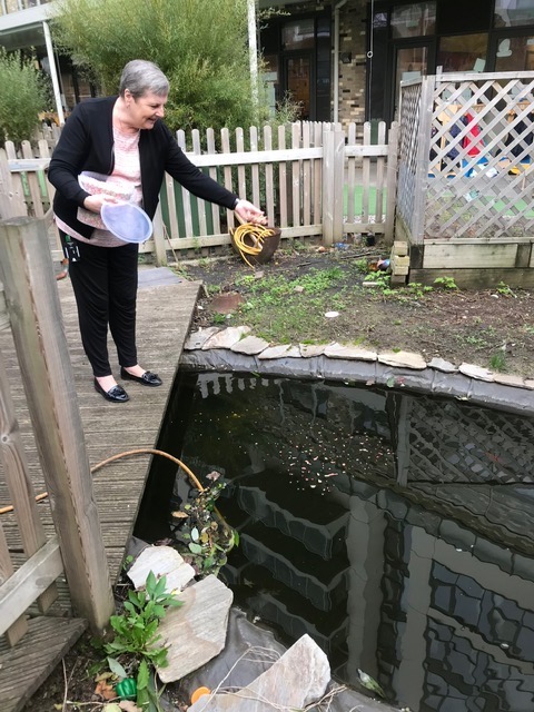 Holy Trinity Primary School | Feeding the fish in our pond