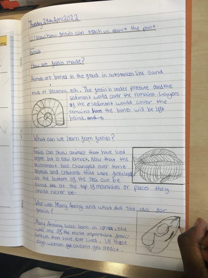 Holy Trinity Primary School | Mary Anning’s fossil discoveries in Year 6