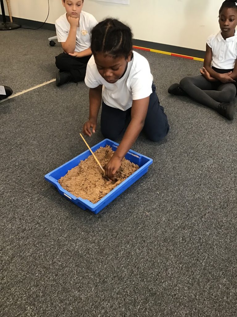 Holy Trinity Primary School | Digging up history in Year 3!