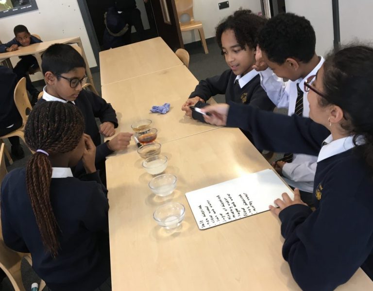 Holy Trinity Primary School | Testing materials for their solubility in ...