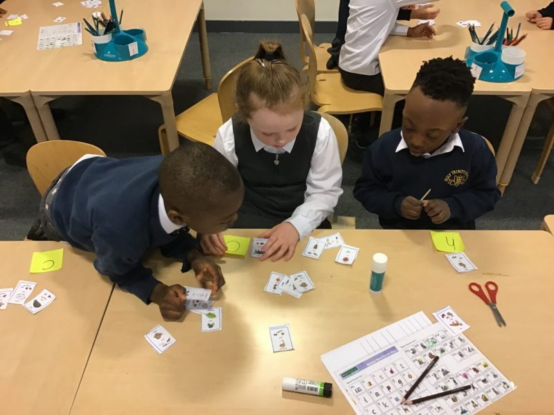 Holy Trinity Primary School | Categorising animal groups in Year 1 Science