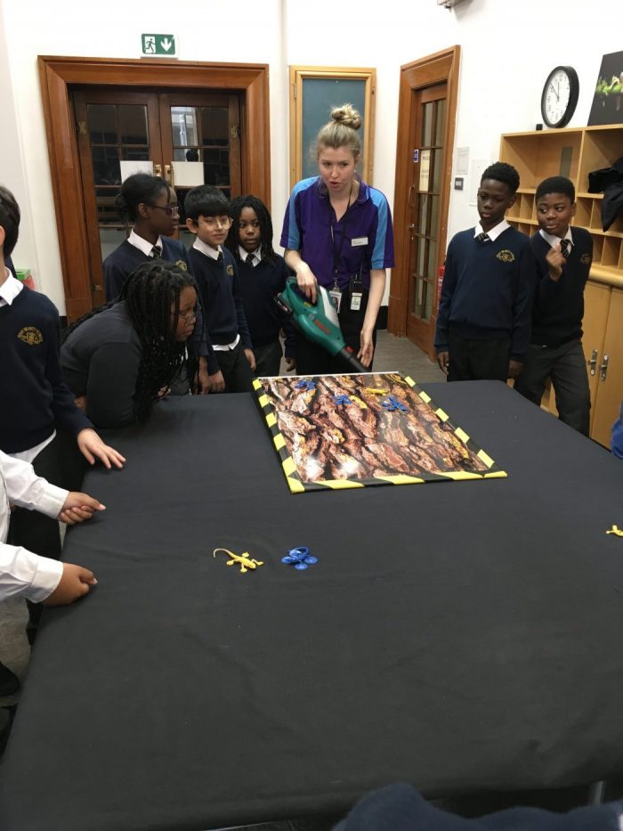 Holy Trinity Primary School | Year 6 trip to the Natural History Museum